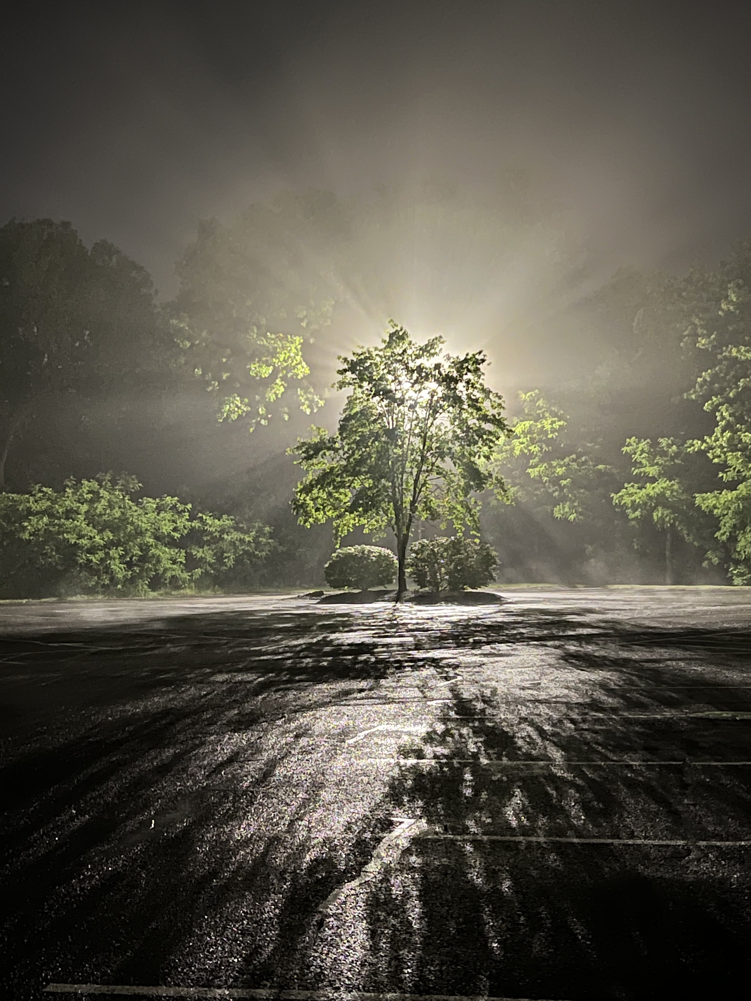 Emily (@emily@xoxo.zone) - XOXO Zone